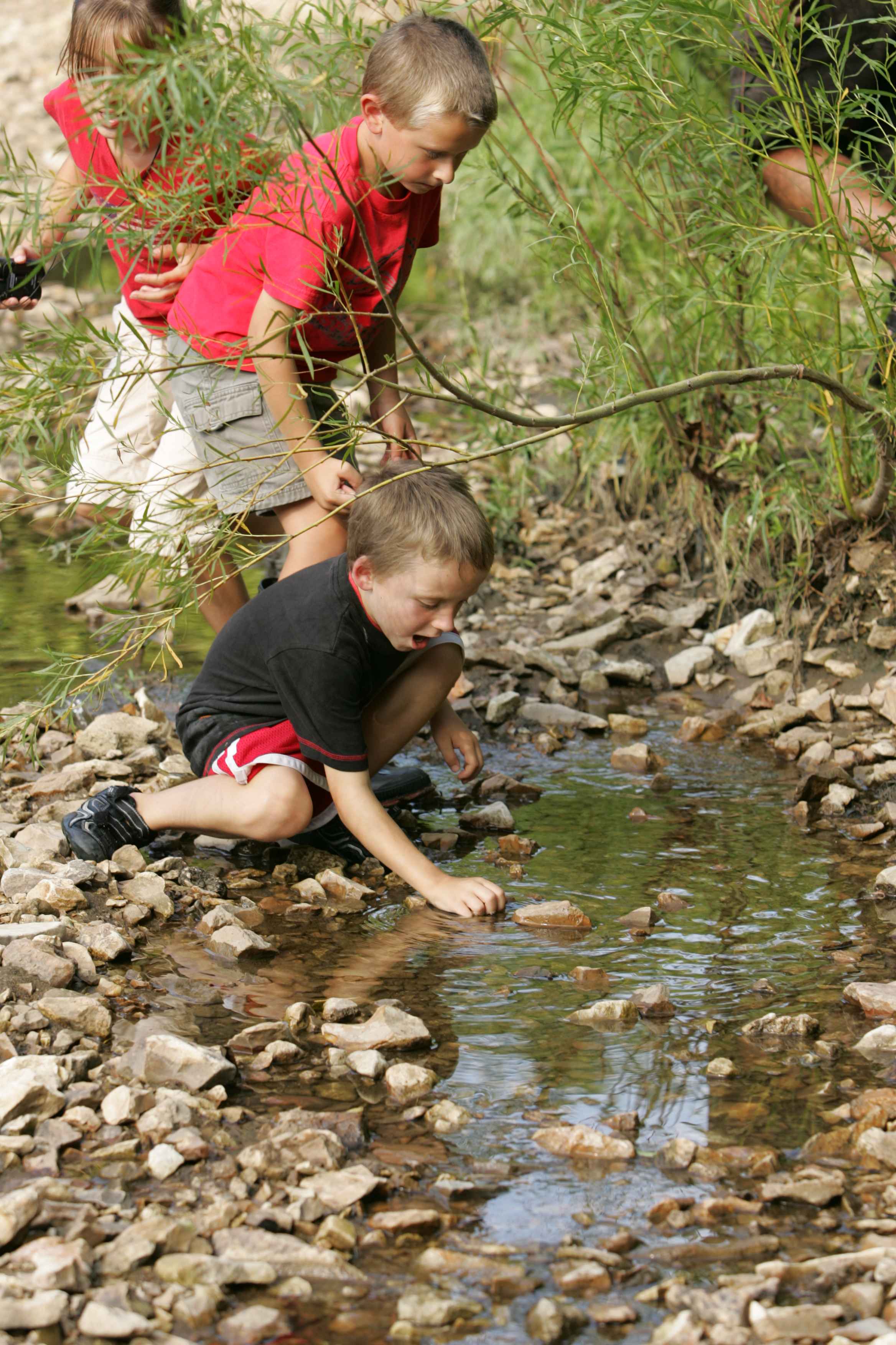 What is Nature Play? – RED SOIL NATURE PLAY